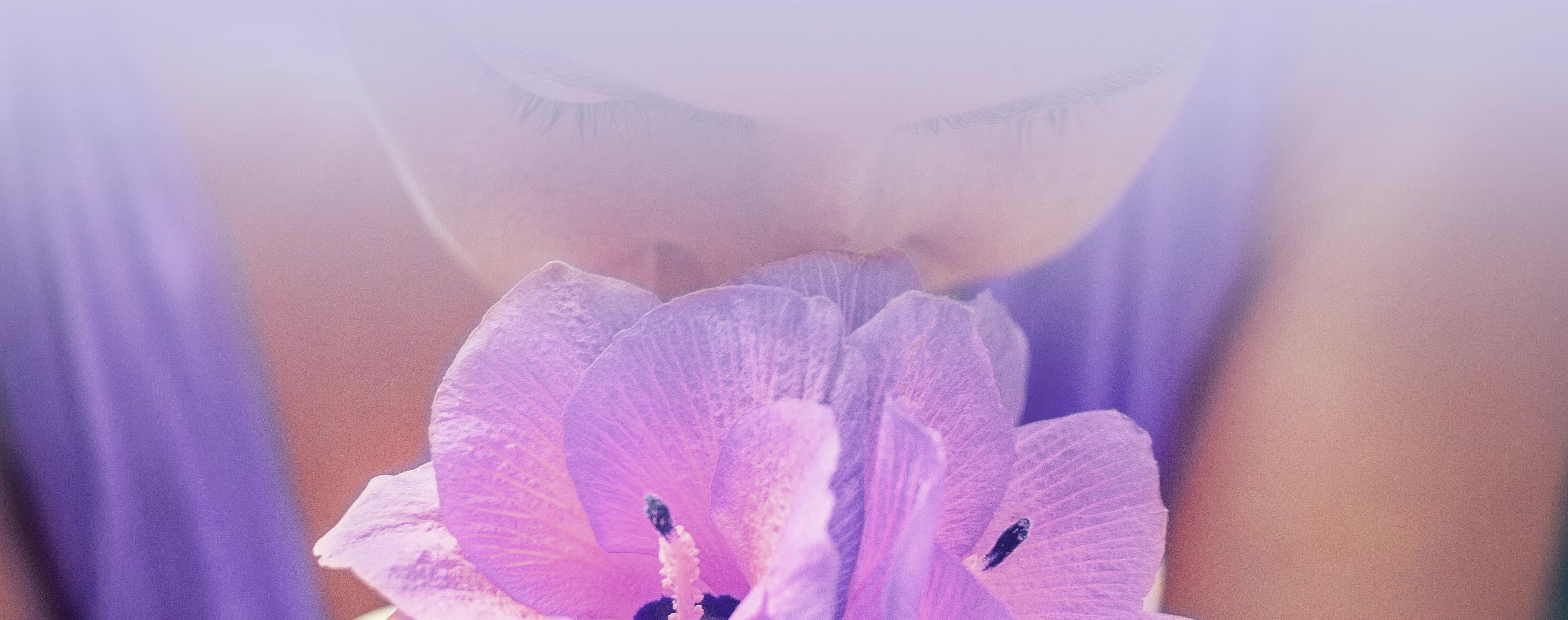 Mood-Boosting Aromatherapy Collection | Shower Steamers, Bath Bombs ...